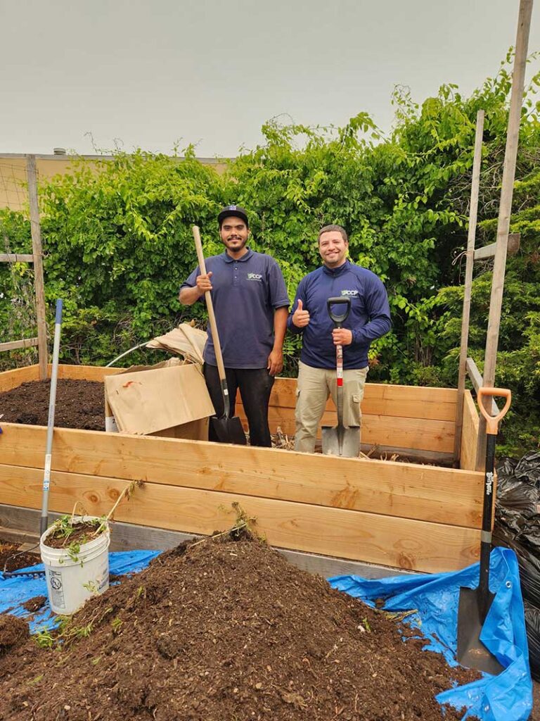 Embracing Nature’s Bounty: The Joyful Vegetable Garden at CCP Solutions ...